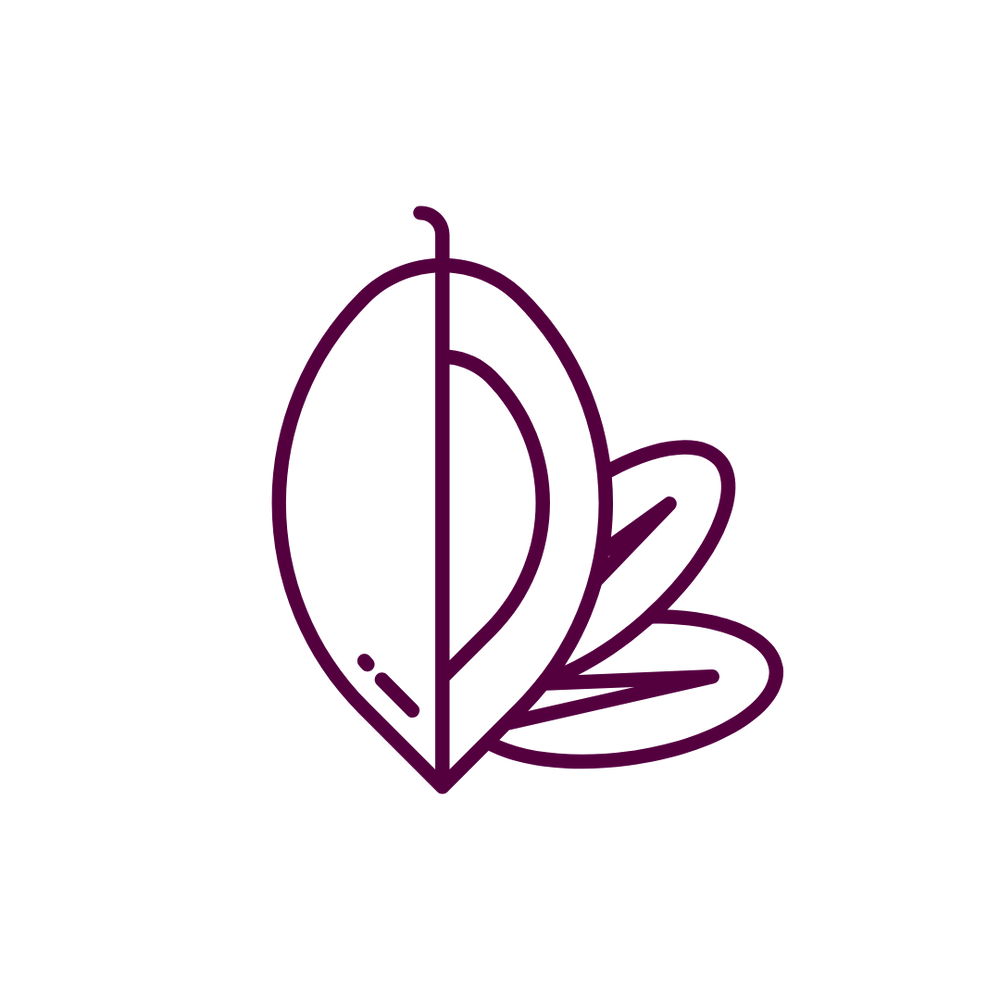 Universal Primer | KLAE