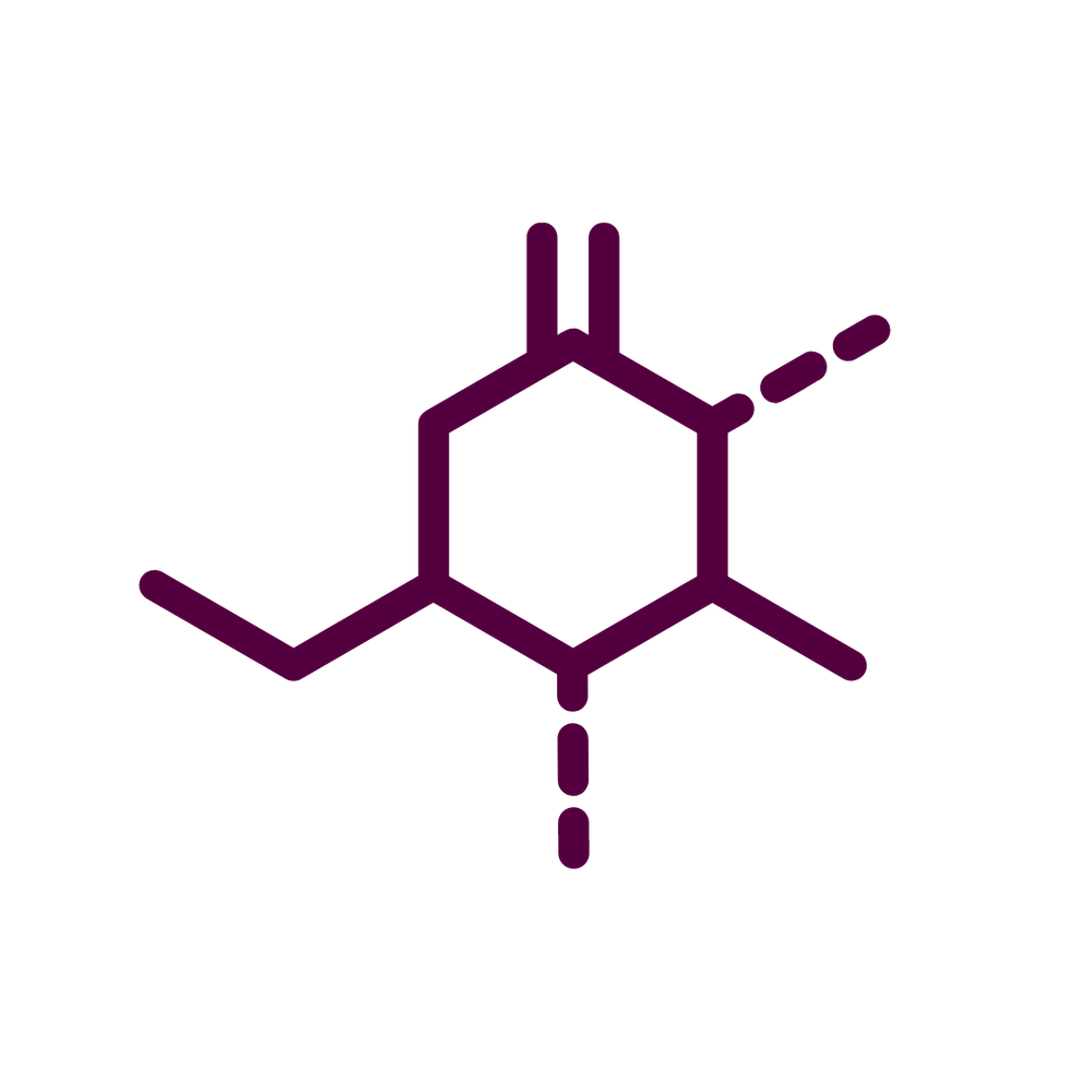 Universal Primer | KLAE