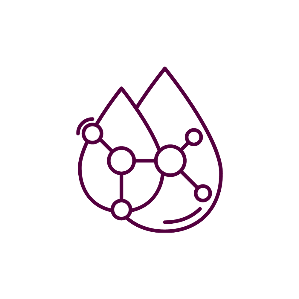 Universal Primer | KLAE